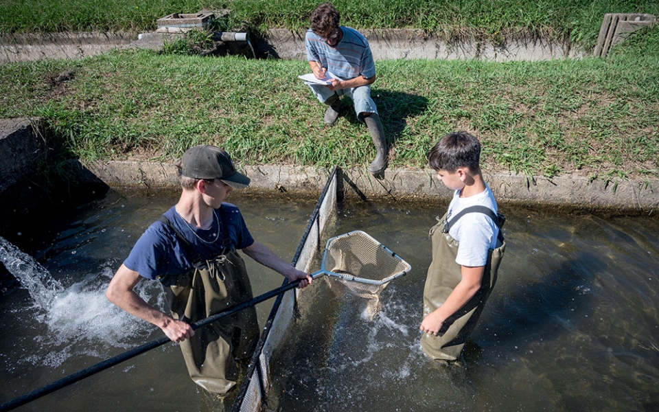 L’aventure du vivant - Syndicalisme Hebdo | CFDT